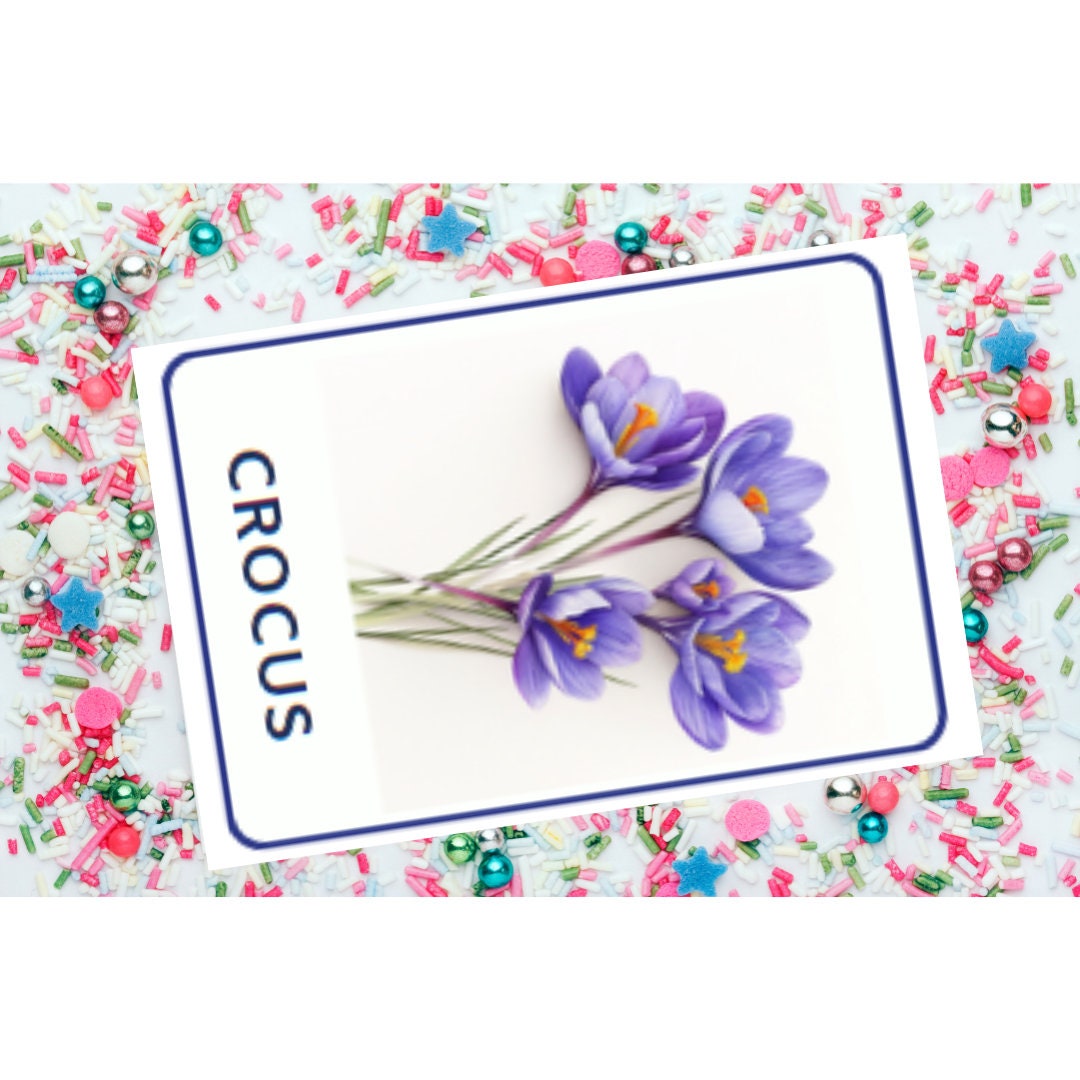 32 PNG Flowers Types Flashcards, Montessori Printable for Kids ...