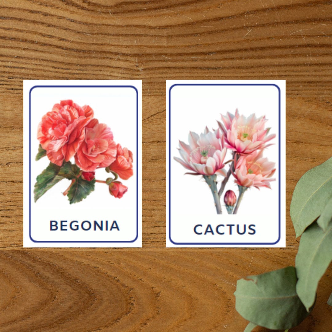 32 PNG Flowers Types Flashcards, Montessori Printable for Kids ...