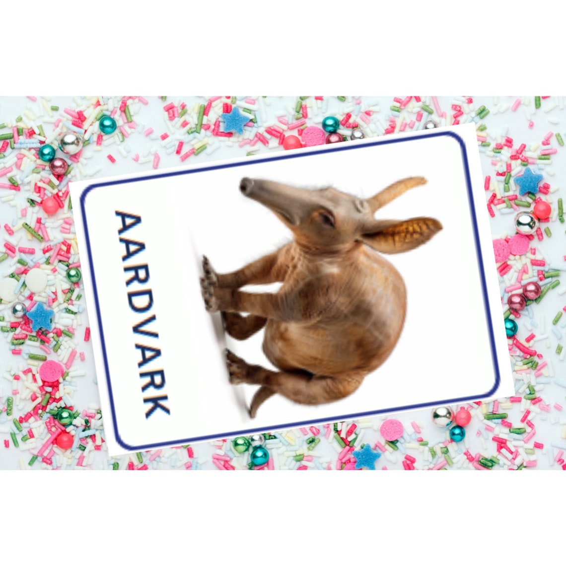 32 PNG Montessori Zoo Animals Flashcards, Nomenclature Printable Cards ...