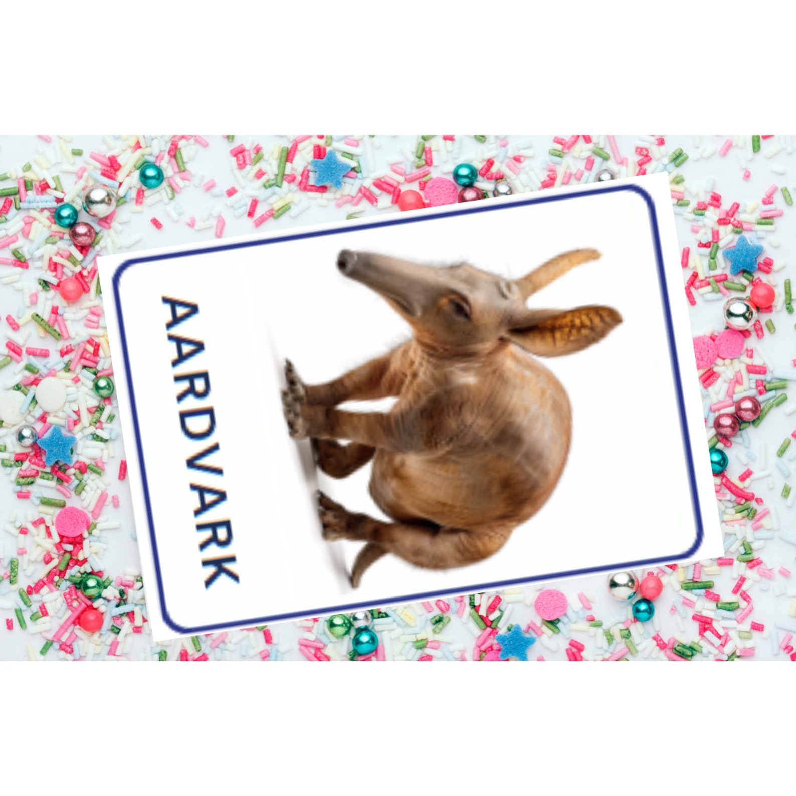 32 PNG Montessori Zoo Animals Flashcards, Nomenclature Printable Cards ...