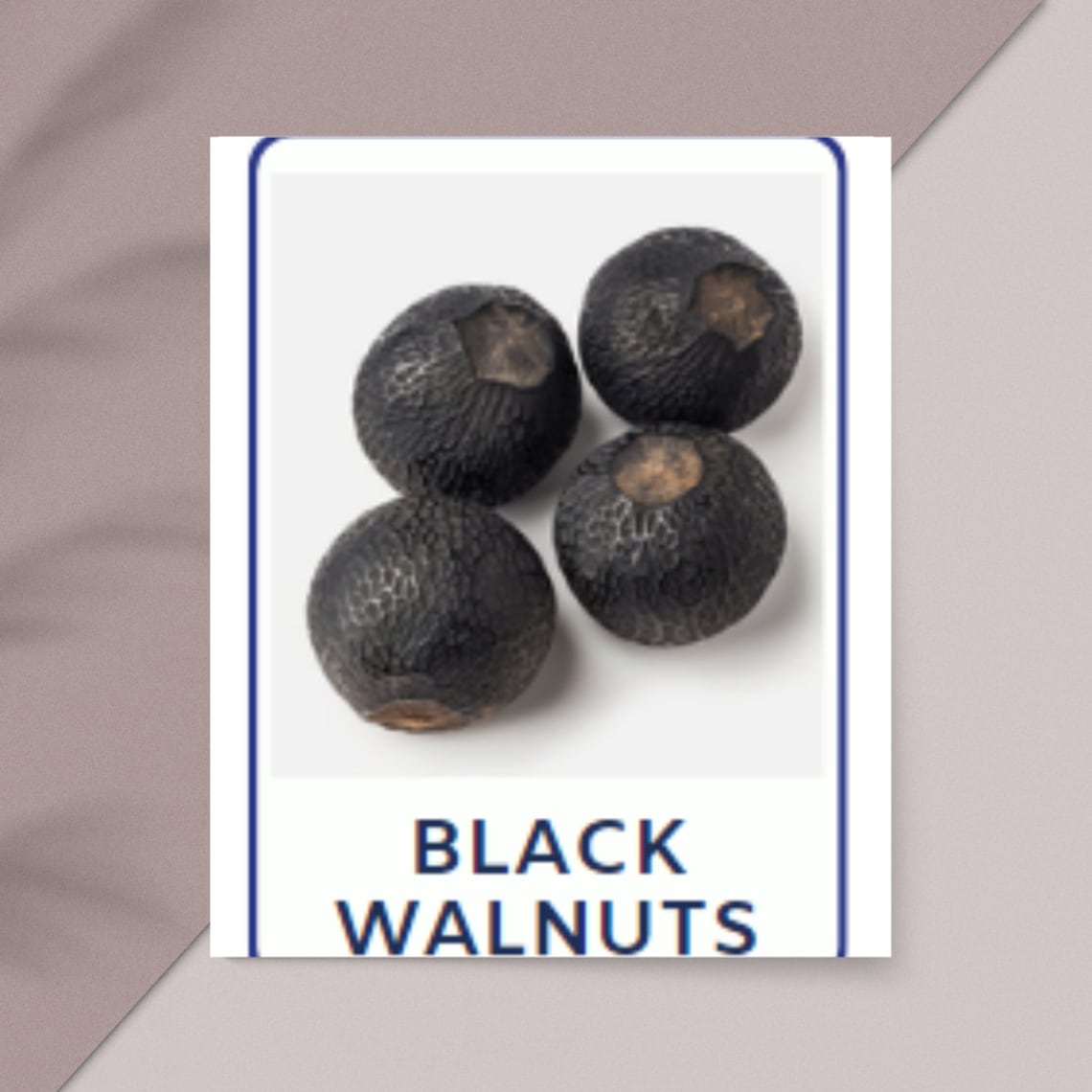 32 PNG Nuts Montessori Flashcards, Nomenclature Printable Flashcards ...