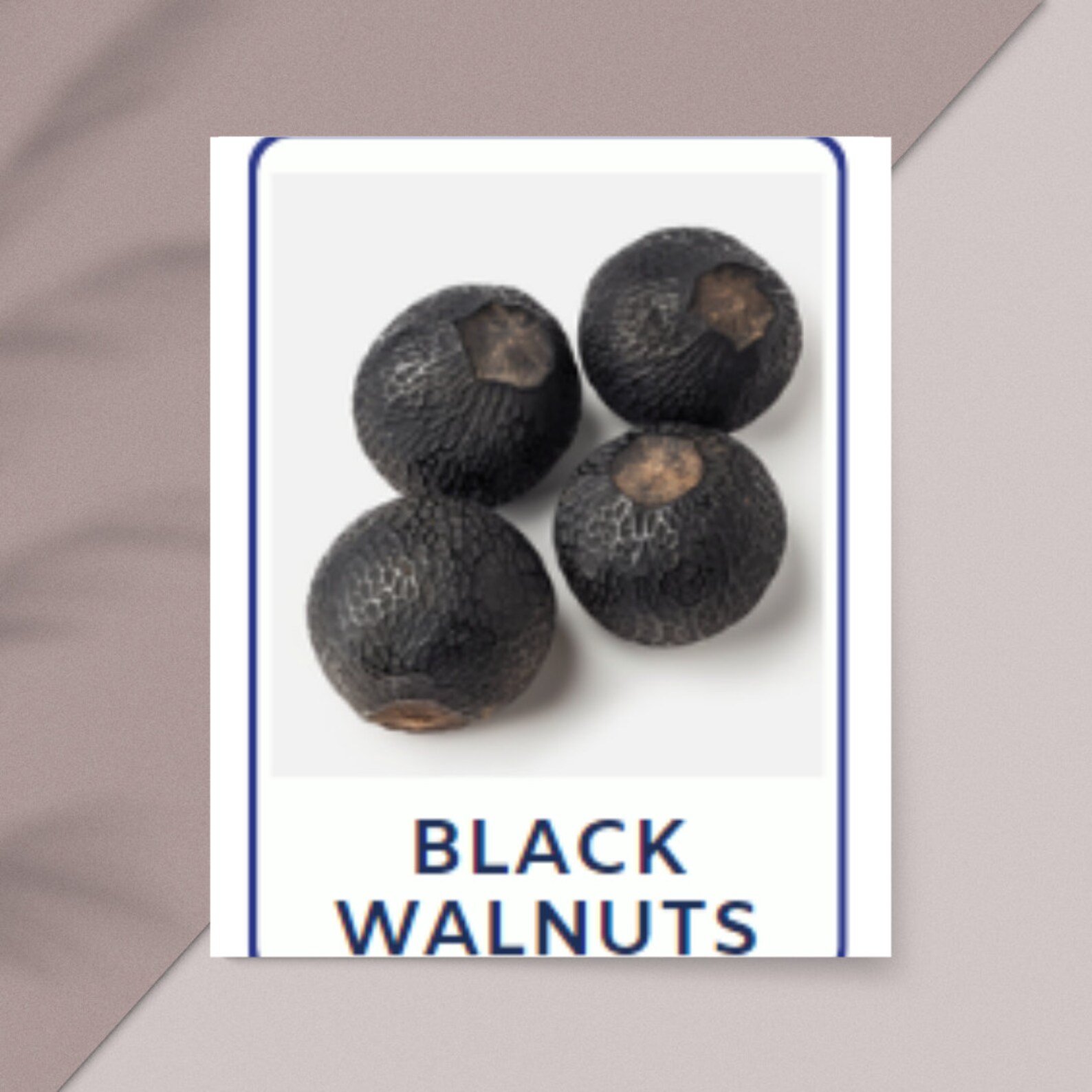 32 PNG Nuts Montessori Flashcards, Nomenclature Printable Flashcards ...