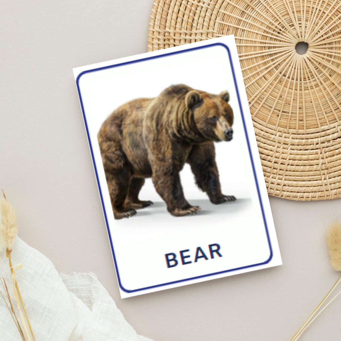 32 PNG Montessori Zoo Animals Flashcards, Nomenclature Printable Cards ...