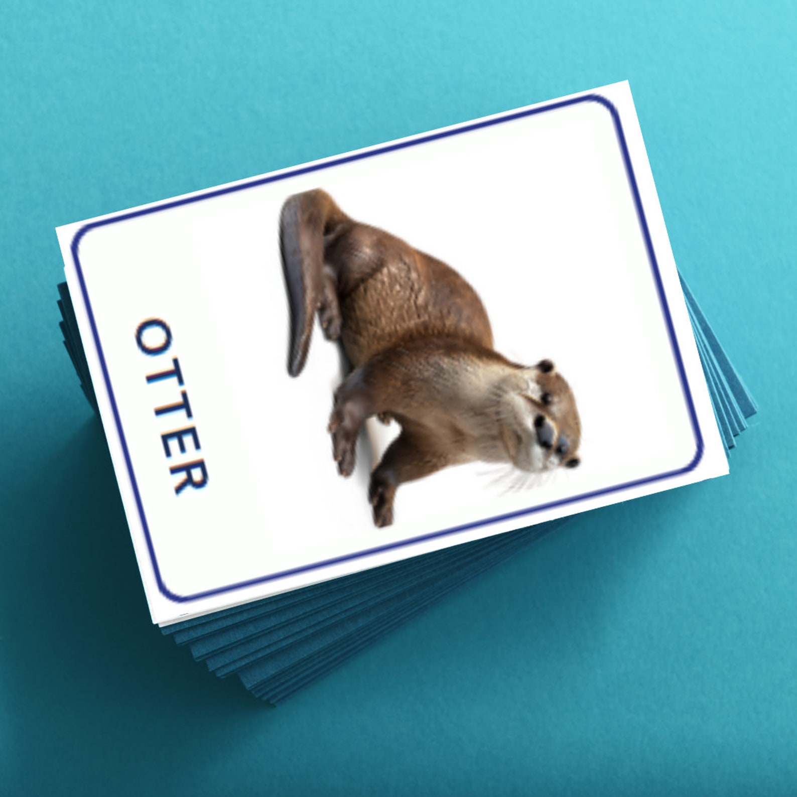 32 PNG Montessori Zoo Animals Flashcards, Nomenclature Printable Cards ...