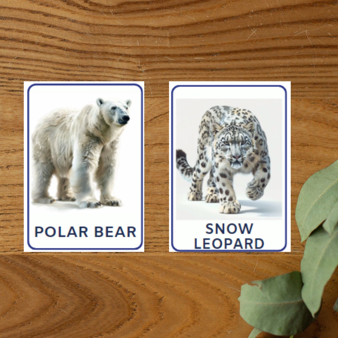 32 PNG Montessori Winter Animals Flashcards, Toddler Activity ...