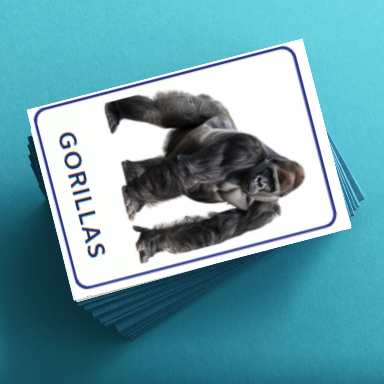 32 PNG Montessori Forest Animals Flashcards, Nomenclature Cards ...