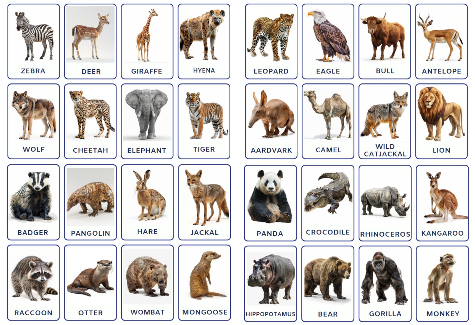 32 PNG Montessori Zoo Animals Flashcards, Nomenclature Printable Cards ...