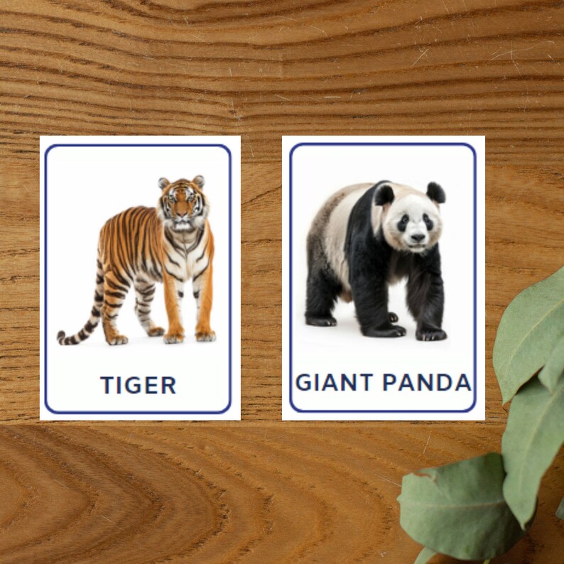32 PNG Montessori Forest Animals Flashcards, Nomenclature Cards ...