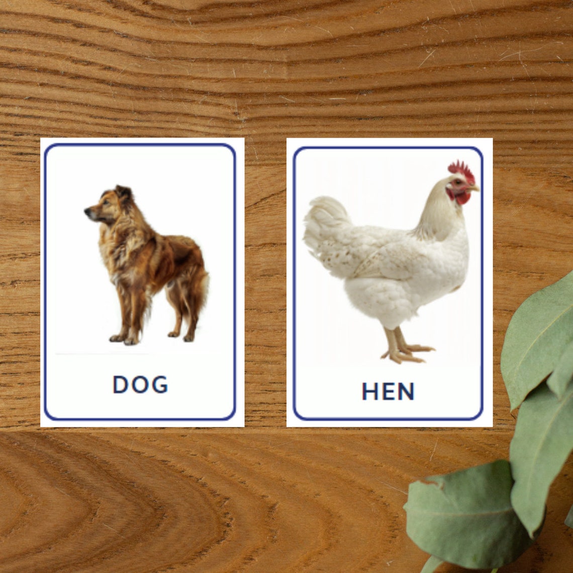 32 Montessori Farm Animals Flashcards for Kids, Toddler Activity ...