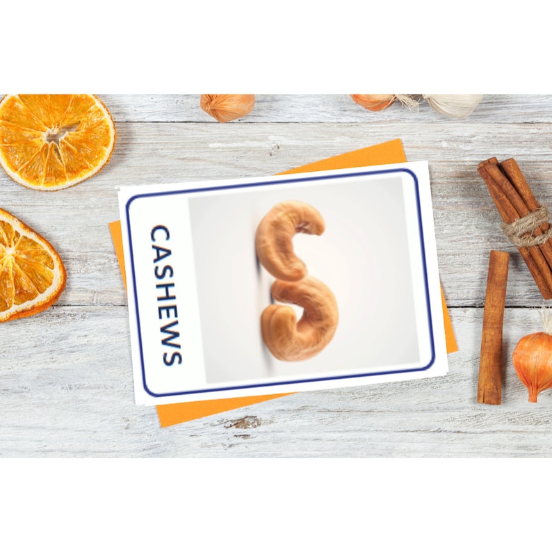 32 PNG Nuts Montessori Flashcards, Nomenclature Printable Flashcards ...