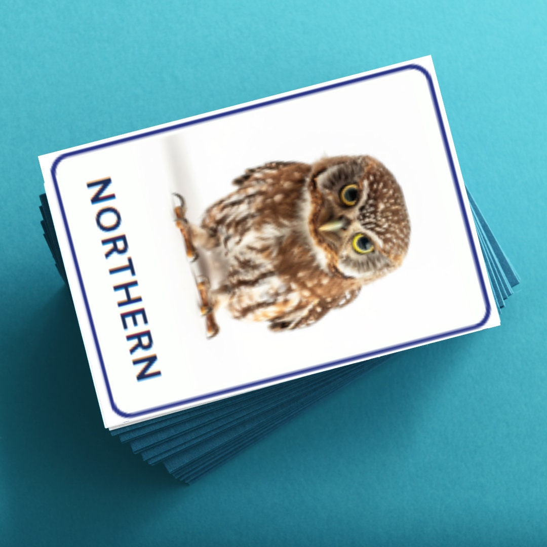 32 PNG Small Animals Montessori Flashcards, Nomenclature Printable ...