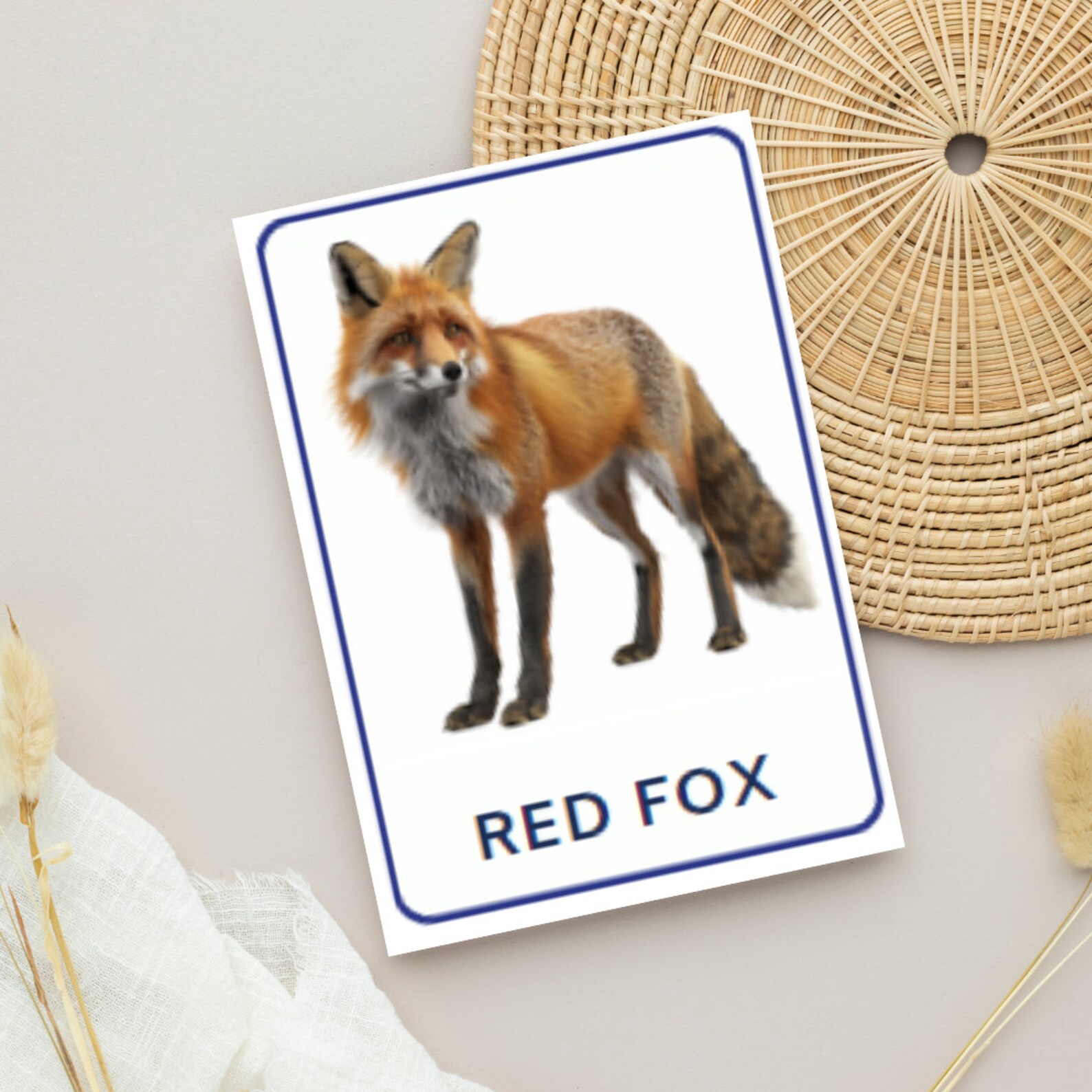 32 PNG Montessori Forest Animals Flashcards, Nomenclature Cards ...