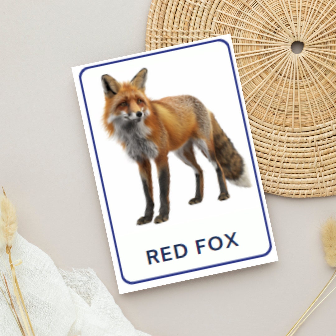 32 PNG Montessori Forest Animals Flashcards, Nomenclature Cards ...