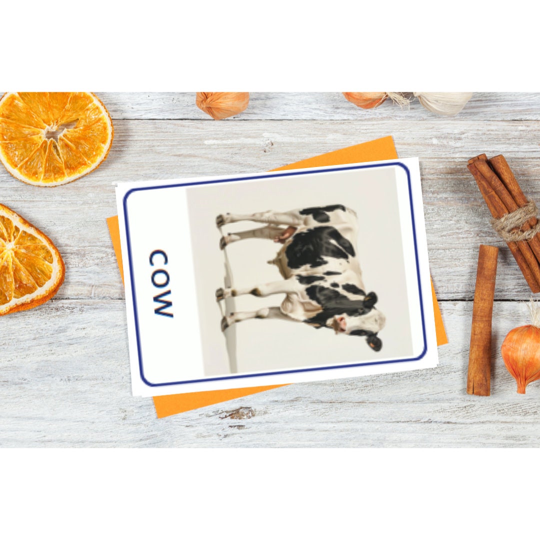 32 Montessori Farm Animals Flashcards for Kids, Toddler Activity ...