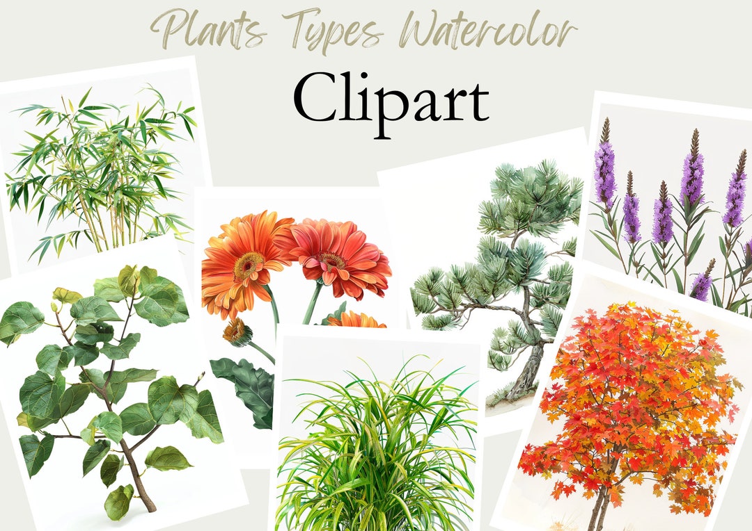 32 PNG Plants Types Clipart, Nature Study Printable Cards, Watercolor ...
