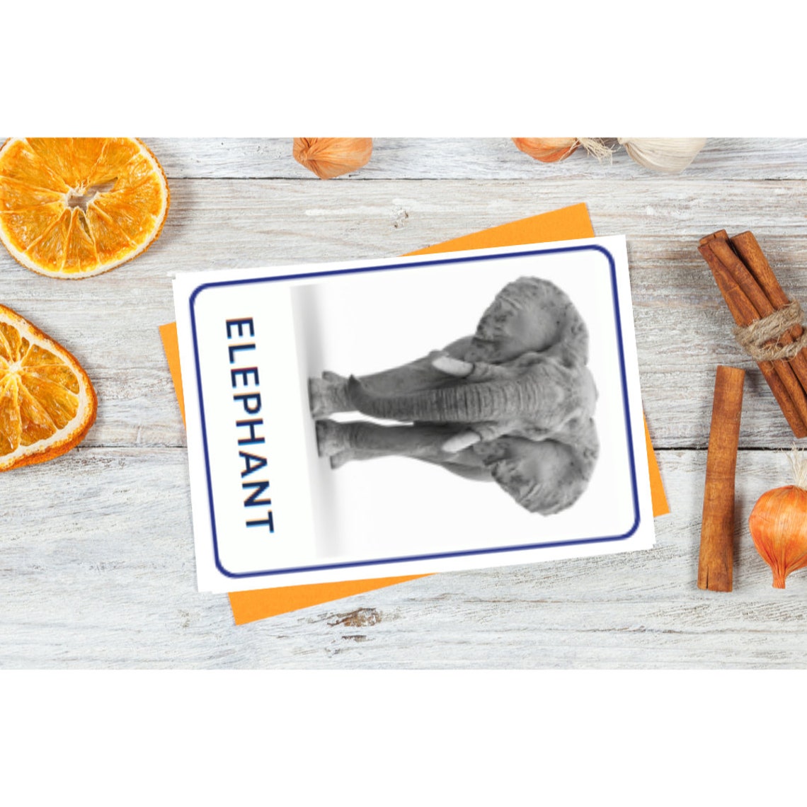 32 PNG Montessori Zoo Animals Flashcards, Nomenclature Printable Cards ...