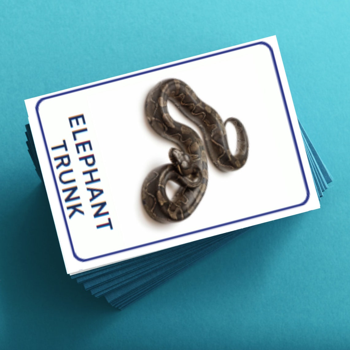 32 PNG Snakes Types Flashcards, Kids Printable, Nomenclature Cards ...
