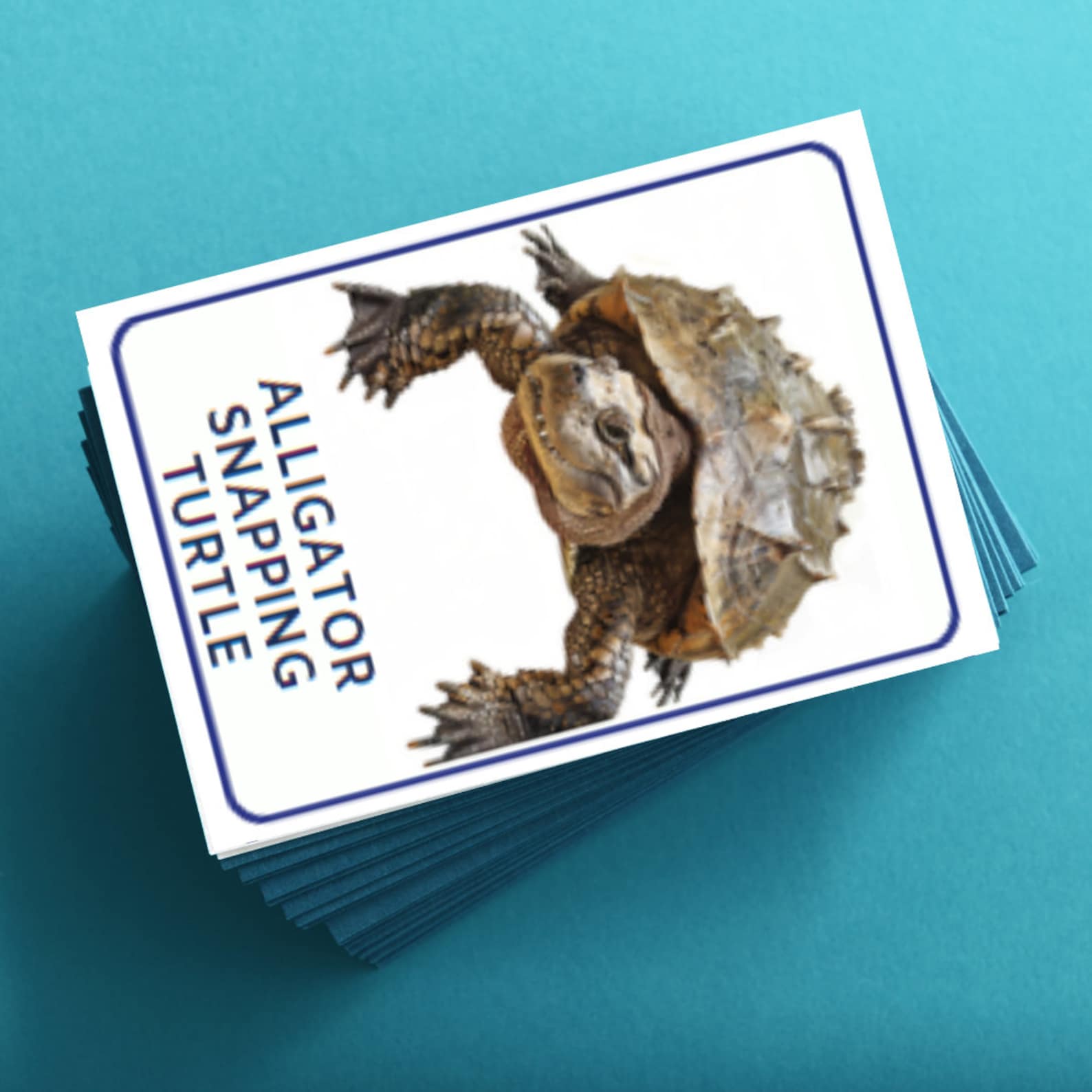 32 PNG Montessori Reptiles Species Flashcards, Special Education for ...