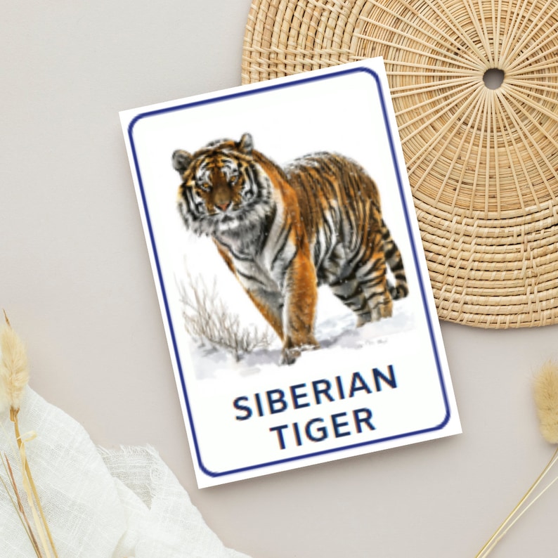 32 PNG Montessori Winter Animals Flashcards, Toddler Activity ...