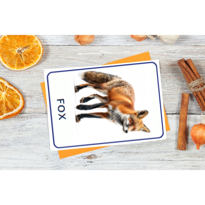 32 PNG Pets and Animals Flashcards, Nomenclature Printable Cards ...
