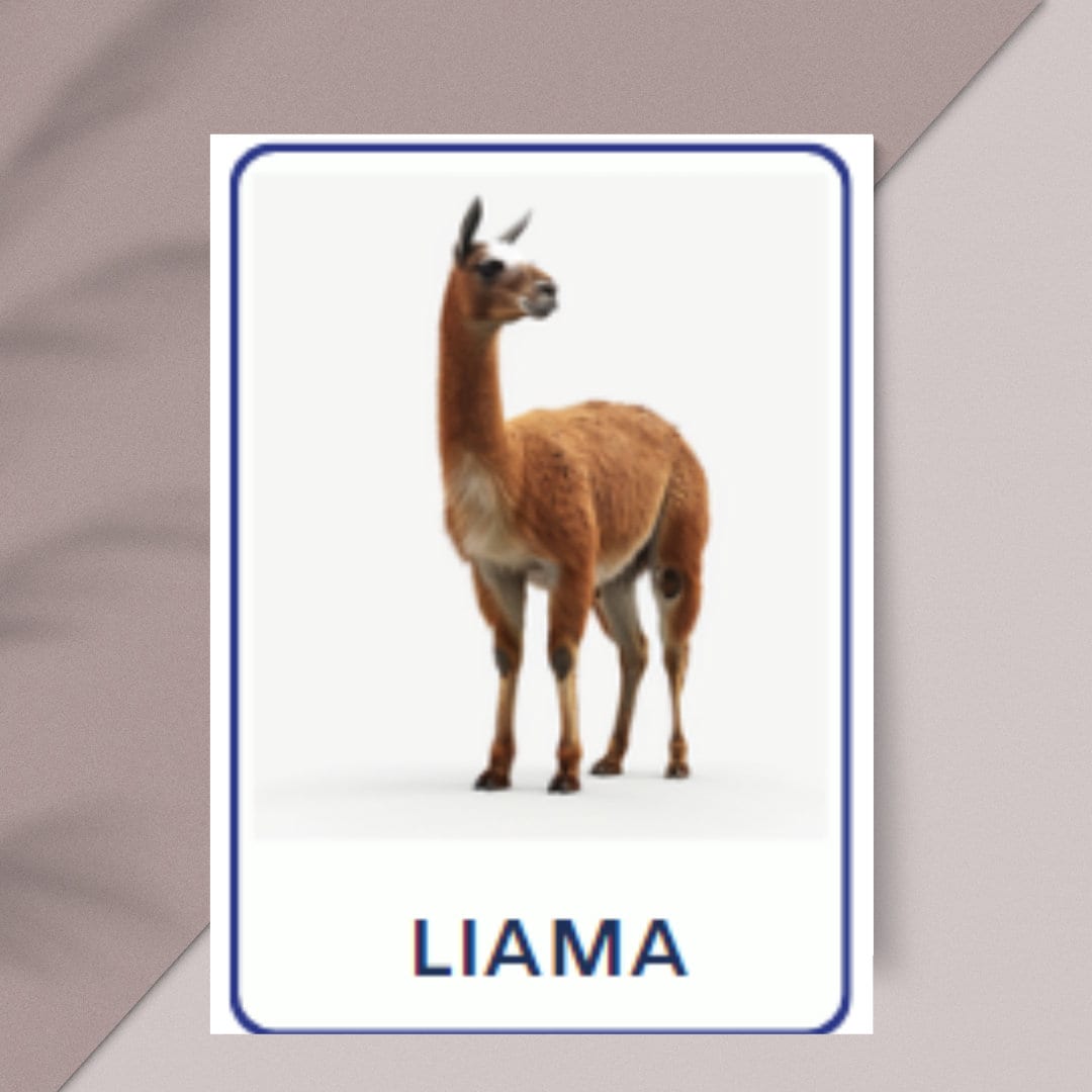 32 Montessori Farm Animals Flashcards for Kids, Toddler Activity ...