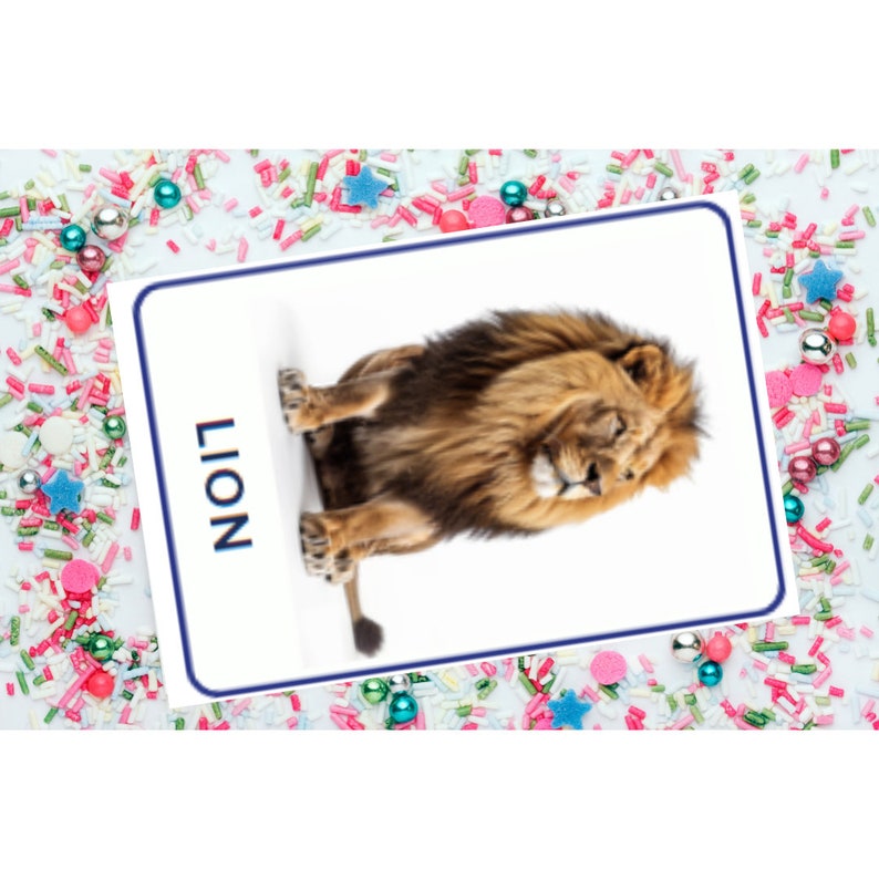 32 PNG Pets and Animals Flashcards, Nomenclature Printable Cards ...