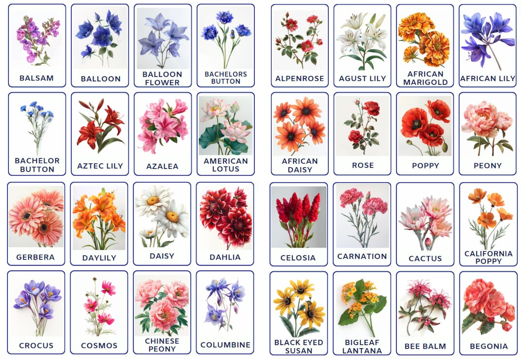 32 PNG Flowers Types Flashcards, Montessori Printable for Kids ...