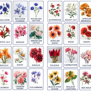 32 PNG Flowers Types Flashcards, Montessori Printable for Kids ...