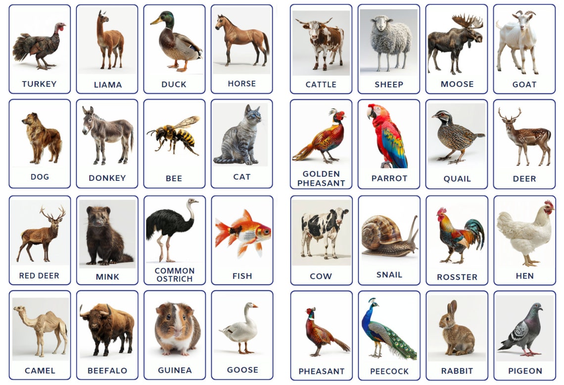32 Montessori Farm Animals Flashcards for Kids, Toddler Activity ...