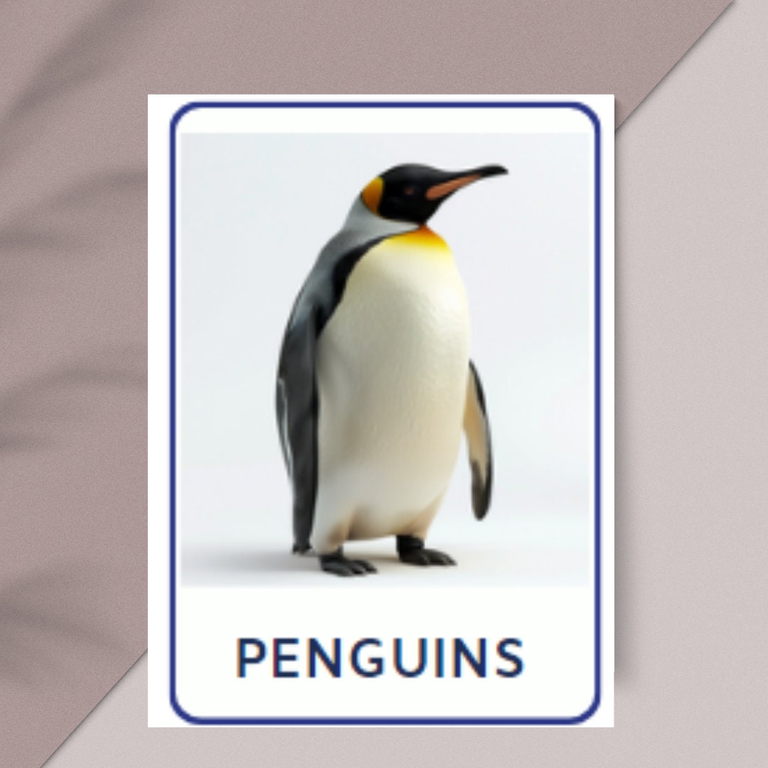 32 PNG Montessori Winter Animals Flashcards, Toddler Activity ...