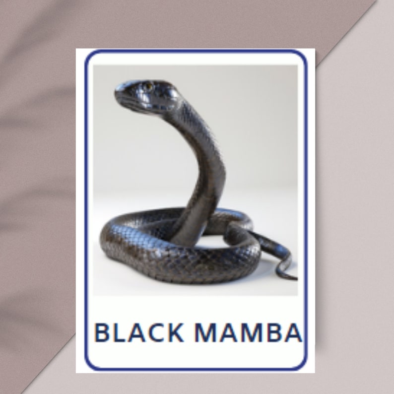 32 PNG Montessori Reptiles Species Flashcards, Special Education for ...