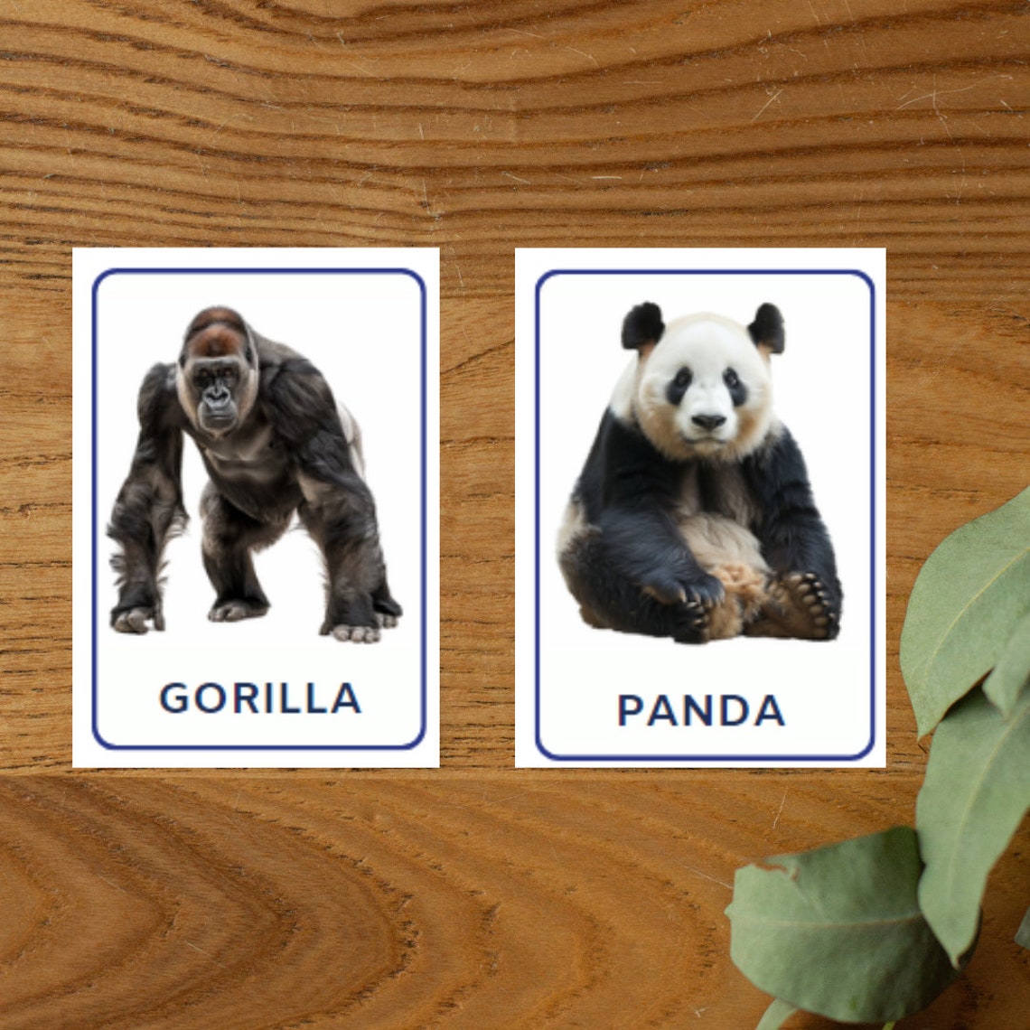 32 PNG Montessori Zoo Animals Flashcards, Nomenclature Printable Cards ...
