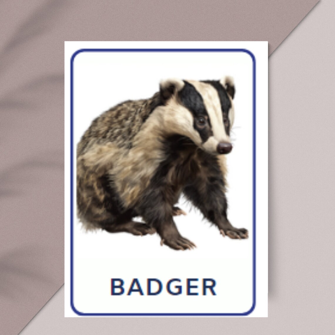 32 PNG Montessori Forest Animals Flashcards, Nomenclature Cards ...