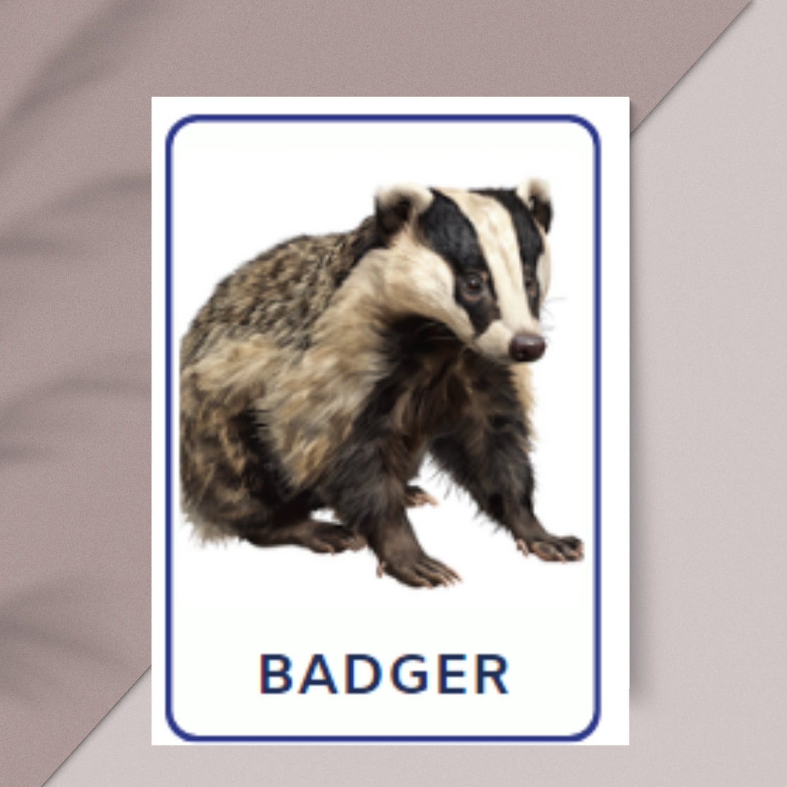 32 PNG Montessori Forest Animals Flashcards, Nomenclature Cards ...