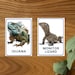 32 PNG Montessori Reptiles Species Flashcards, Special Education for ...