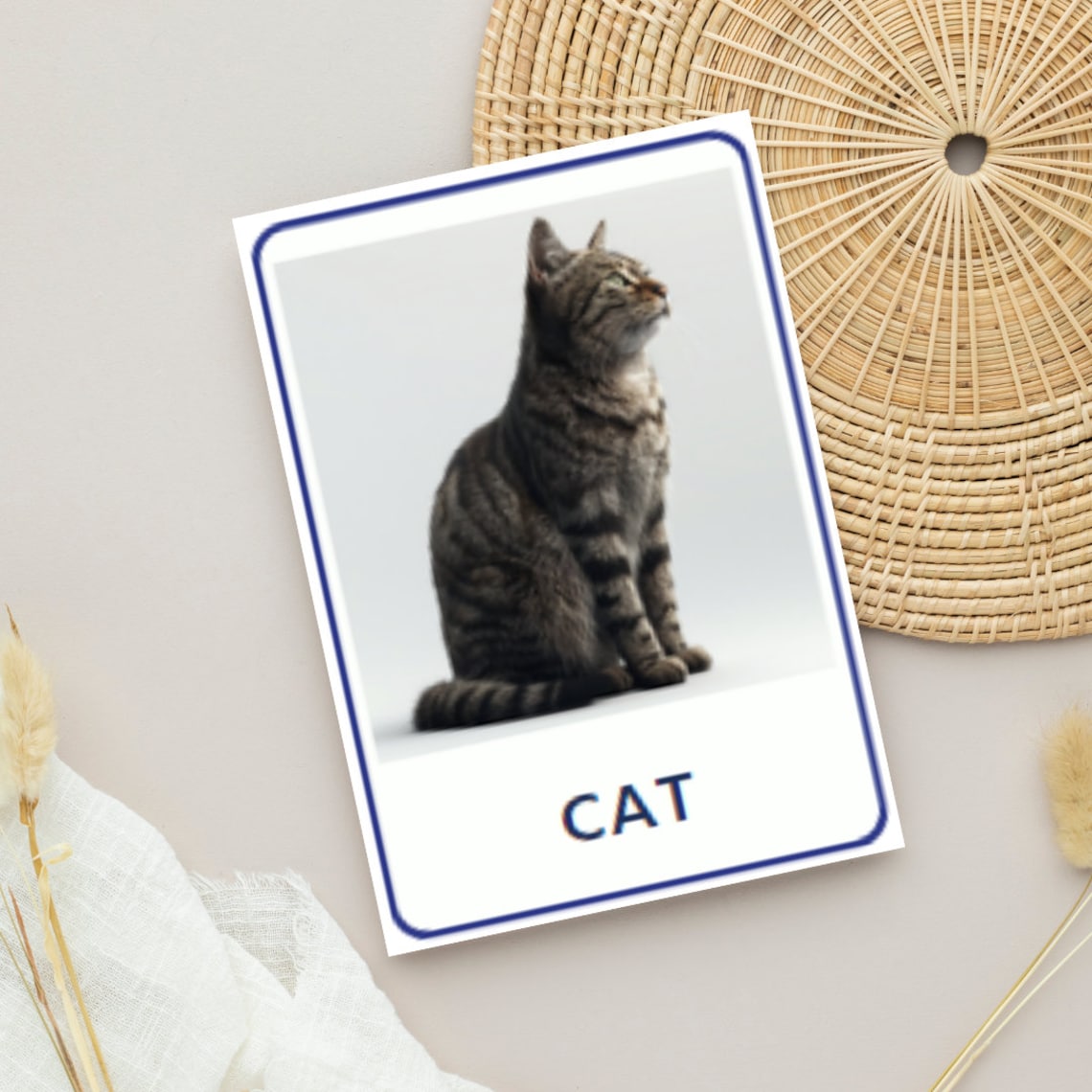 32 PNG Pets and Animals Flashcards, Nomenclature Printable Cards ...