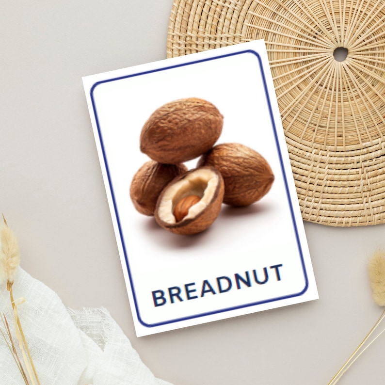 32 PNG Nuts Montessori Flashcards, Nomenclature Printable Flashcards ...