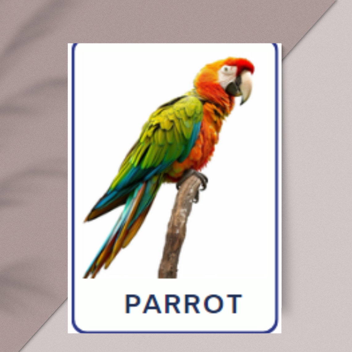 32 PNG Pets and Animals Flashcards, Nomenclature Printable Cards ...