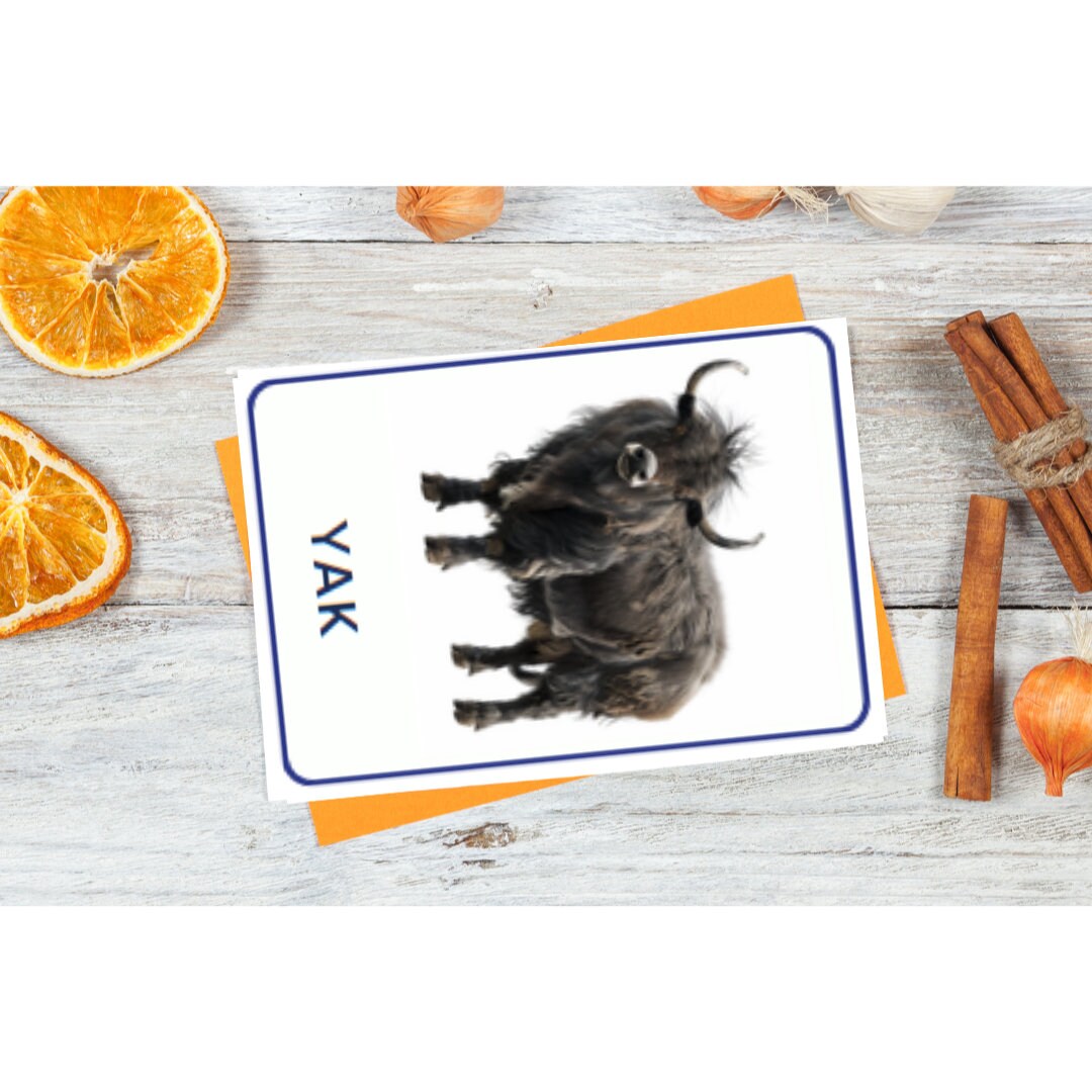 32 PNG Montessori Forest Animals Flashcards, Nomenclature Cards ...