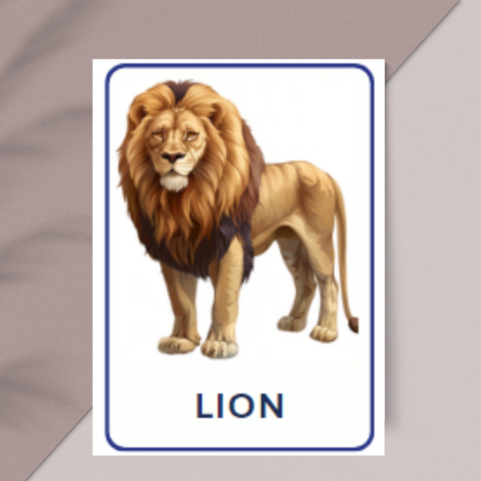 32 PNG Montessori Zoo Animals Flashcards, Nomenclature Printable Cards ...