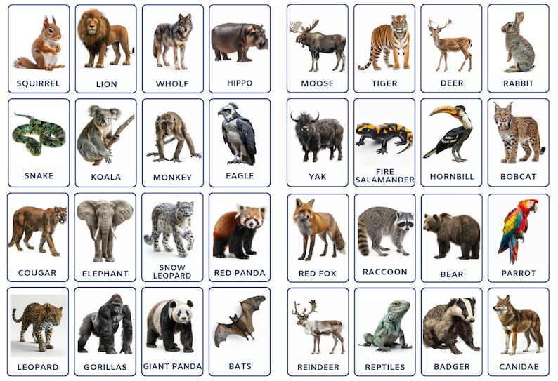 32 PNG Montessori Forest Animals Flashcards, Nomenclature Cards ...