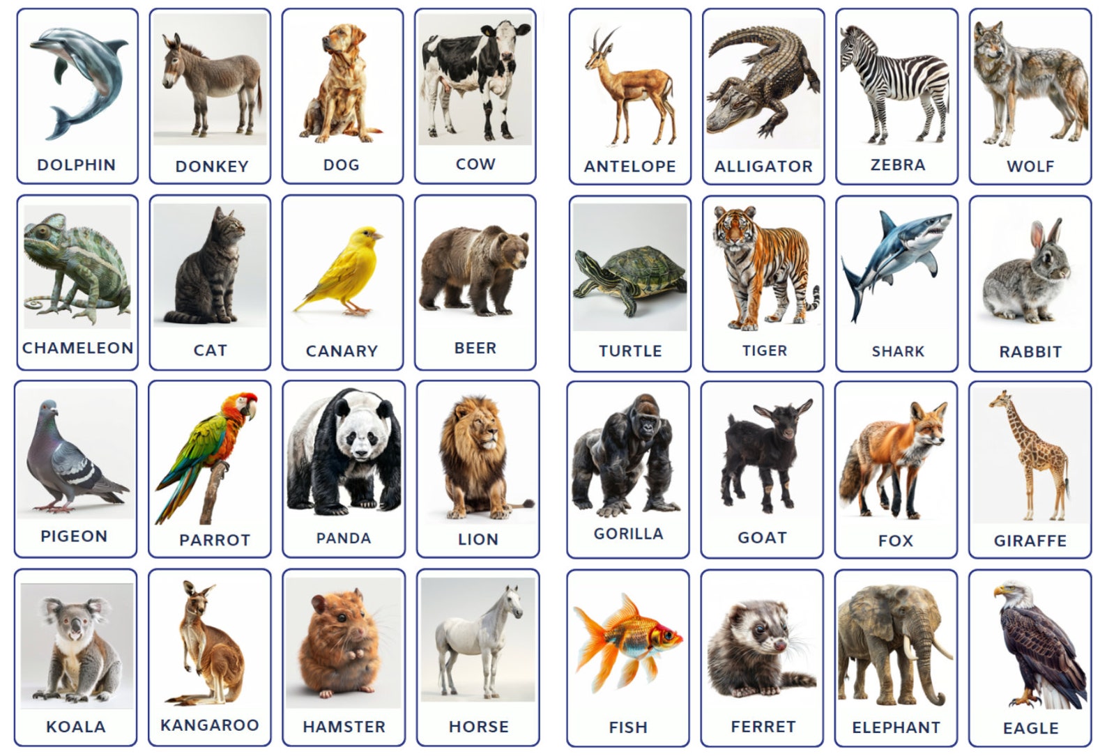 32 PNG Pets and Animals Flashcards, Nomenclature Printable Cards ...
