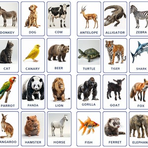 32 PNG Pets and Animals Flashcards, Nomenclature Printable Cards ...