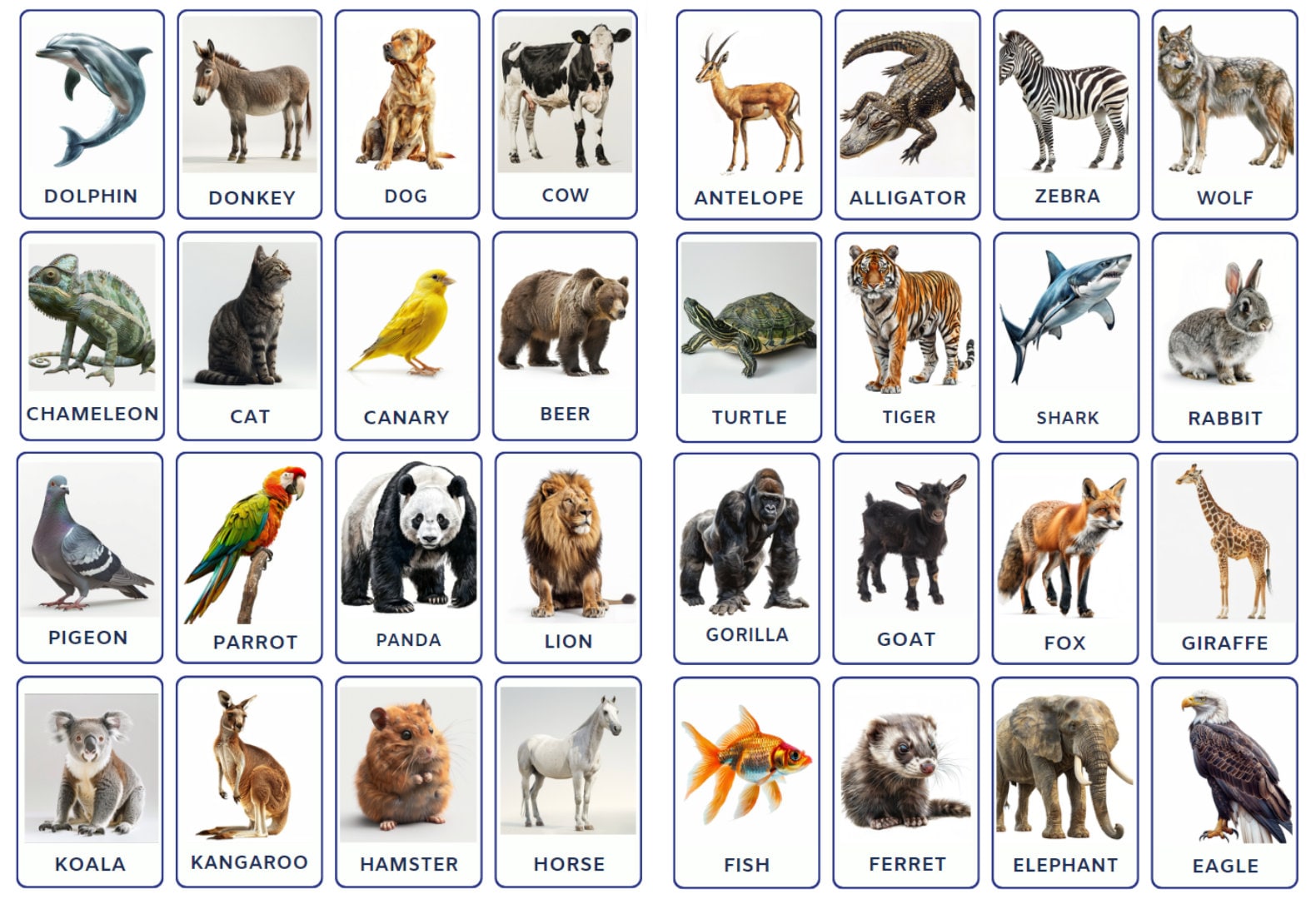 32 PNG Pets and Animals Flashcards, Nomenclature Printable Cards ...