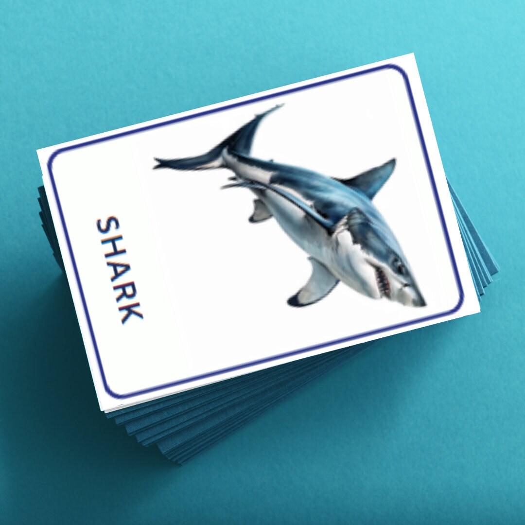 32 PNG Pets and Animals Flashcards, Nomenclature Printable Cards ...