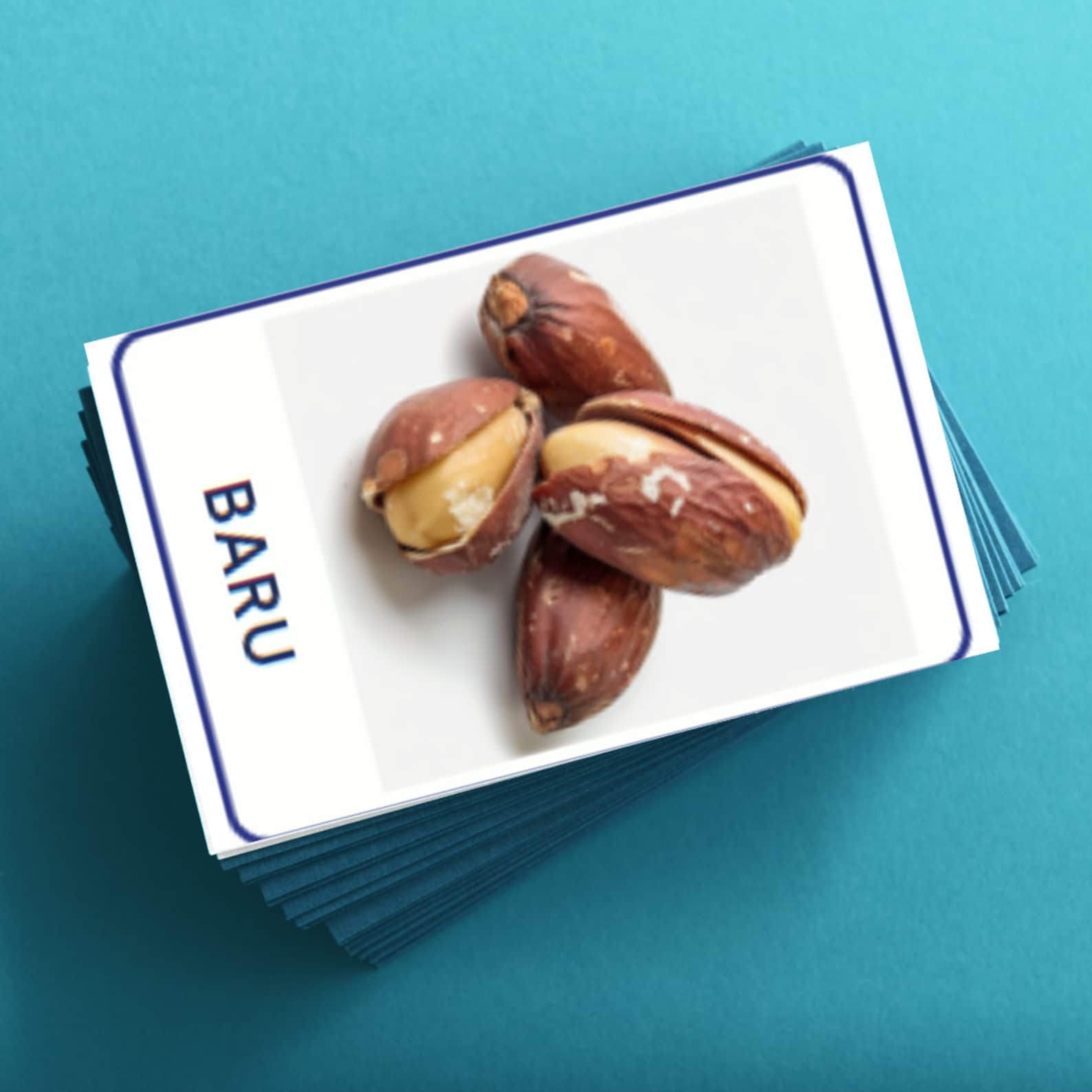 32 PNG Nuts Montessori Flashcards, Nomenclature Printable Flashcards ...
