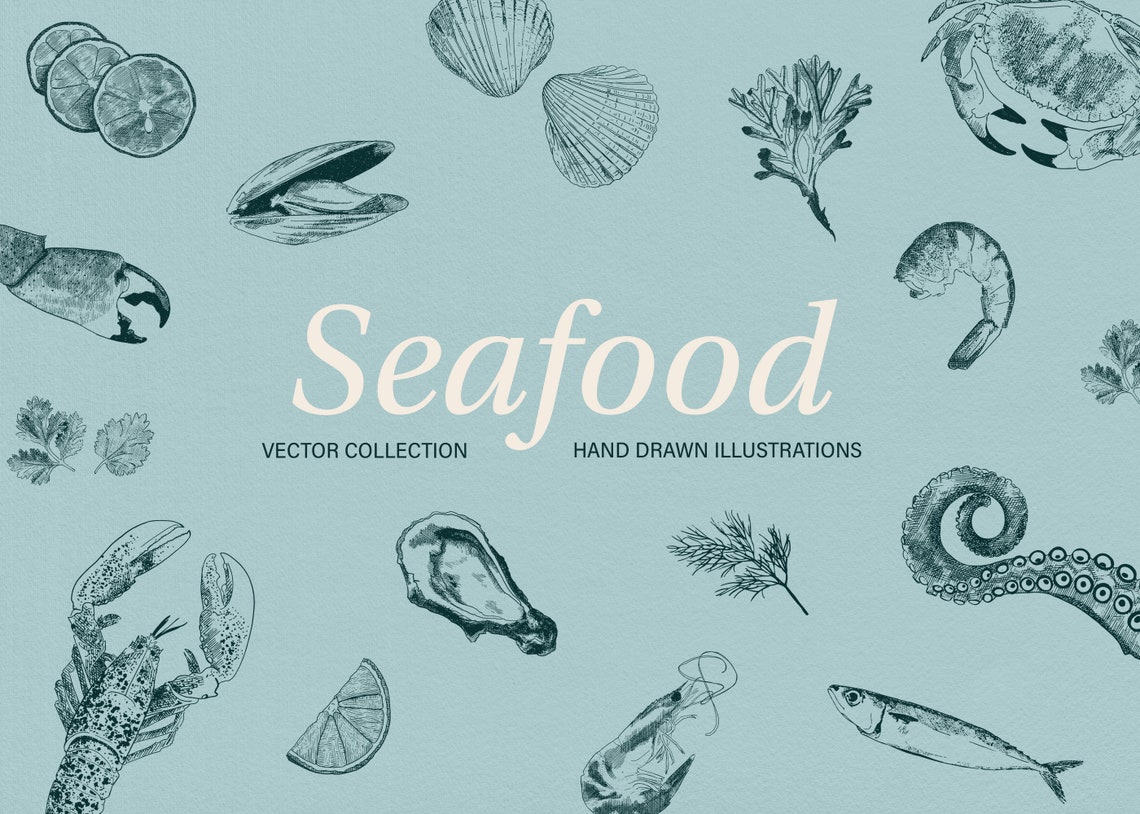 Pack of 20 Seafood Illustrations, Hand-drawn, Fish Restaurants ...