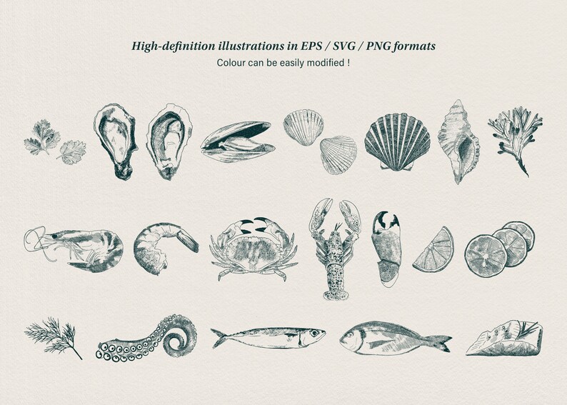 Pack of 20 Seafood Illustrations, Hand-drawn, Fish Restaurants ...
