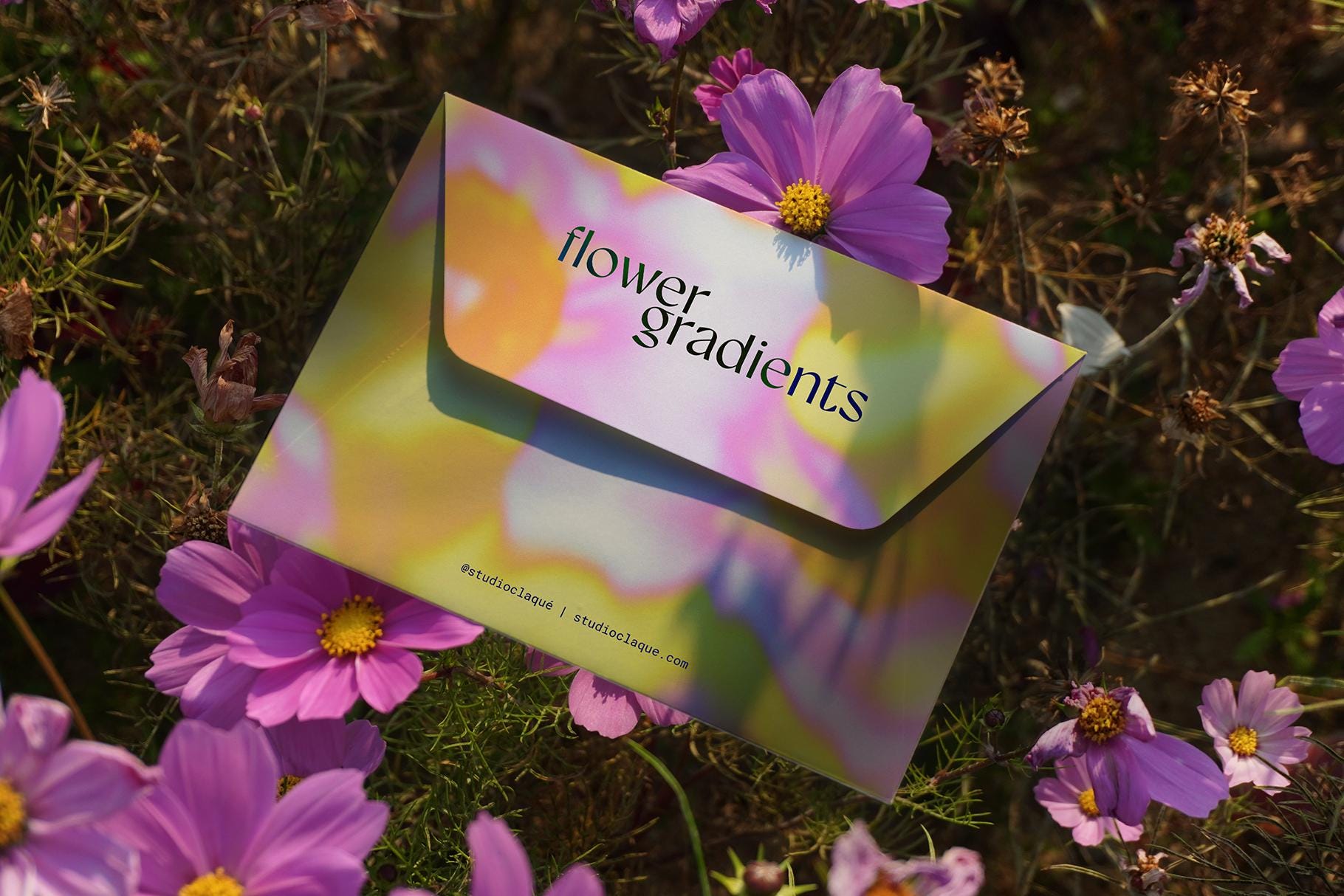 Pack of 12 Abstract Flower Gradients, Blur Effect, Grain, Vibrant ...