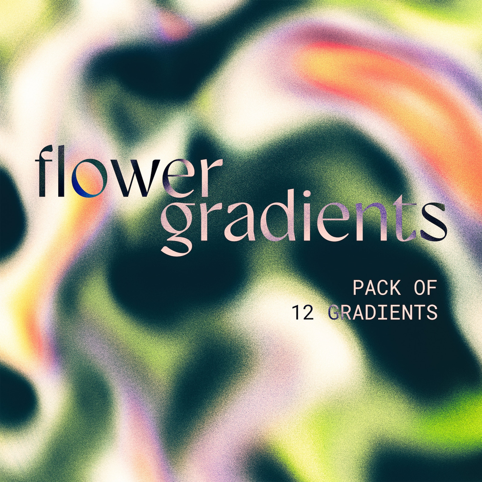 Pack of 12 Abstract Flower Gradients, Blur Effect, Grain, Vibrant ...